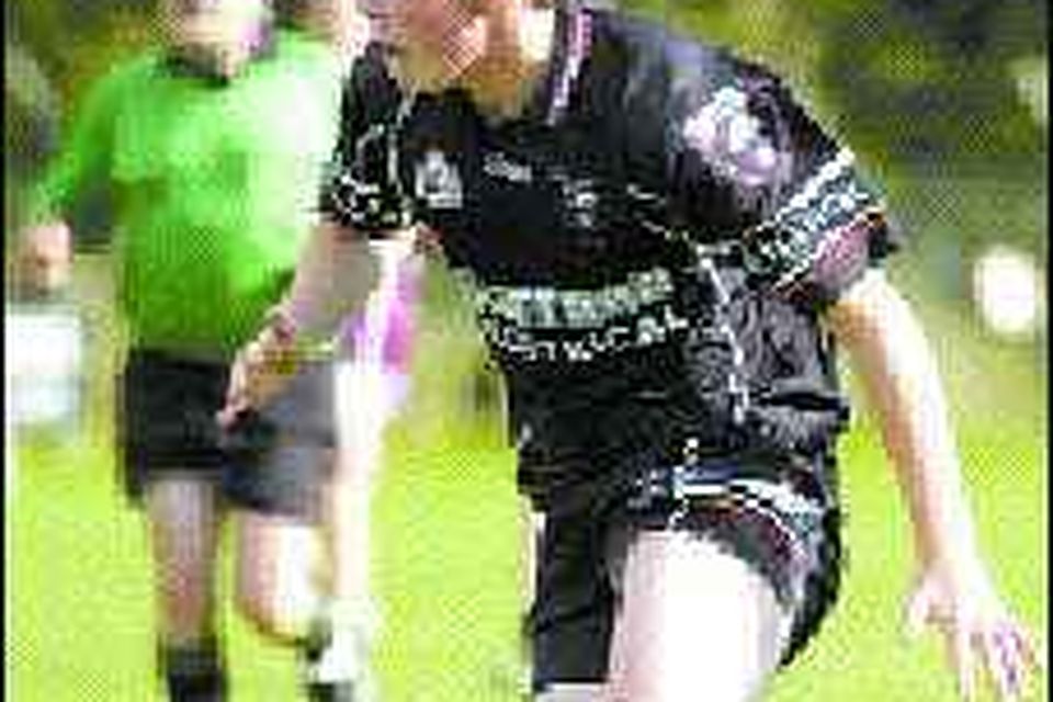 Sligo under-16s beaten in Webb Cup final | Irish Independent