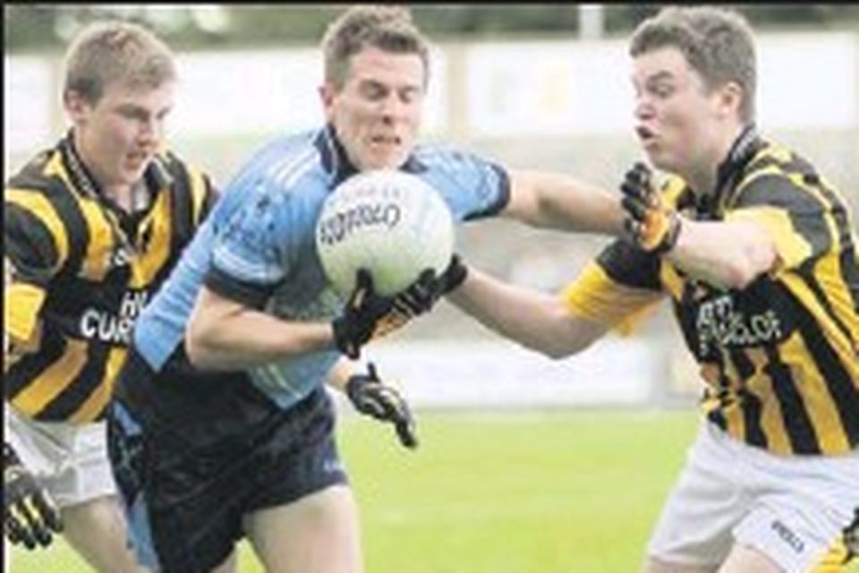 The week in pictures | Independent.ie