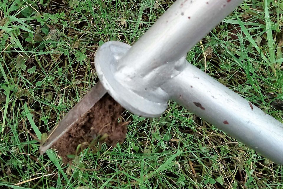 PJ Phelan: Get your soil sampling sorted ASAP to comply with new ...
