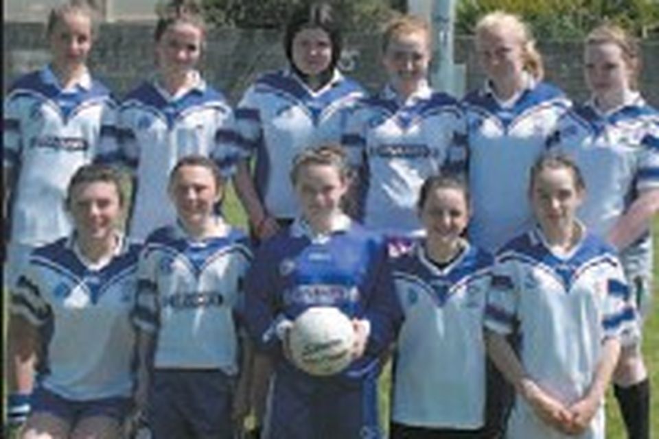 Castleisland and Listowel win Plate and Shield titles as Ballyboden ...
