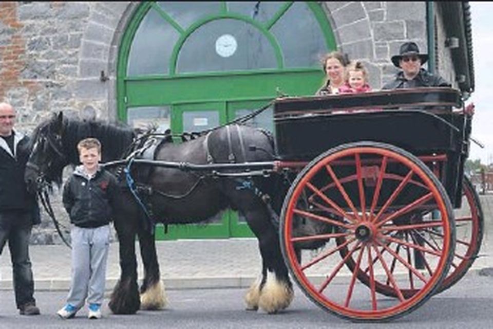 Jarvey makes a rare sight in Listowel | Irish Independent