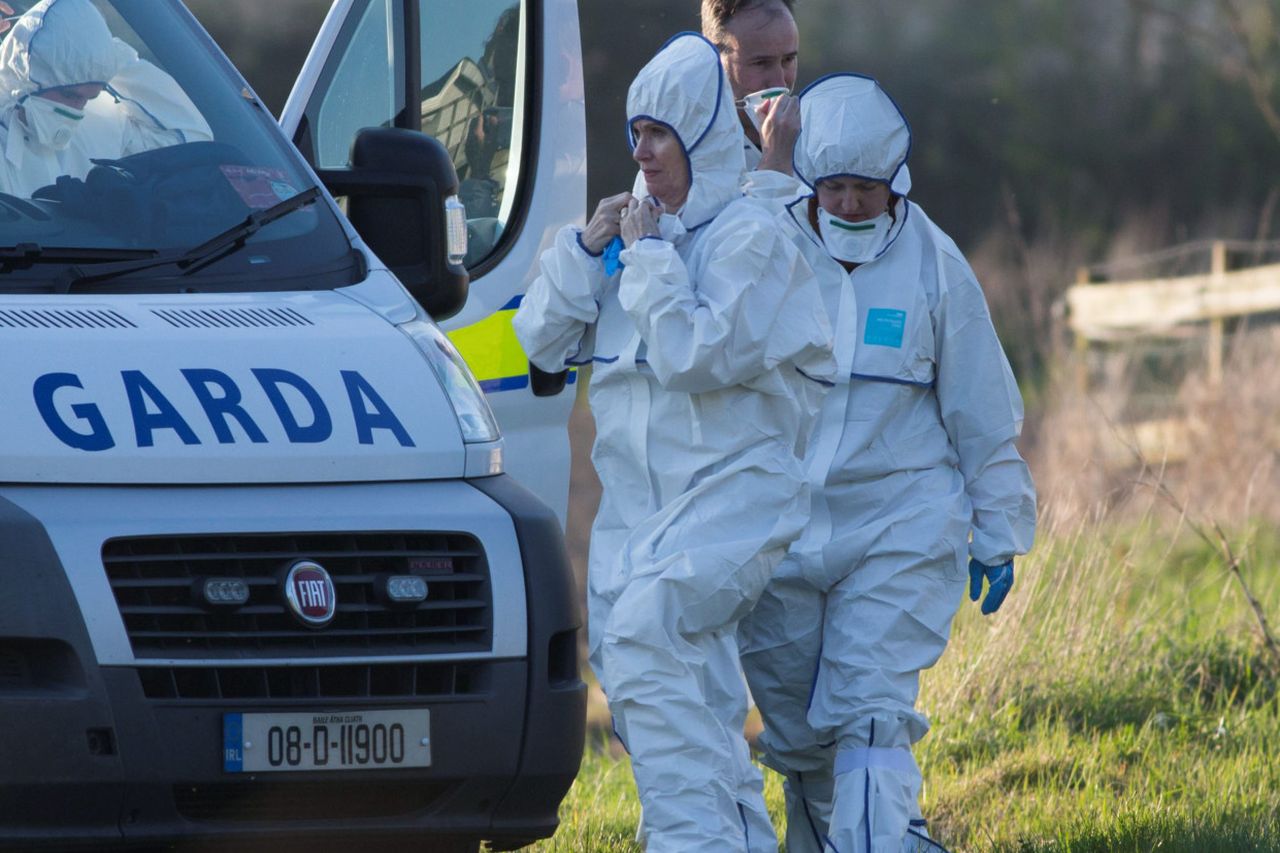 Anne found murdered in shed after cash row | Irish Independent