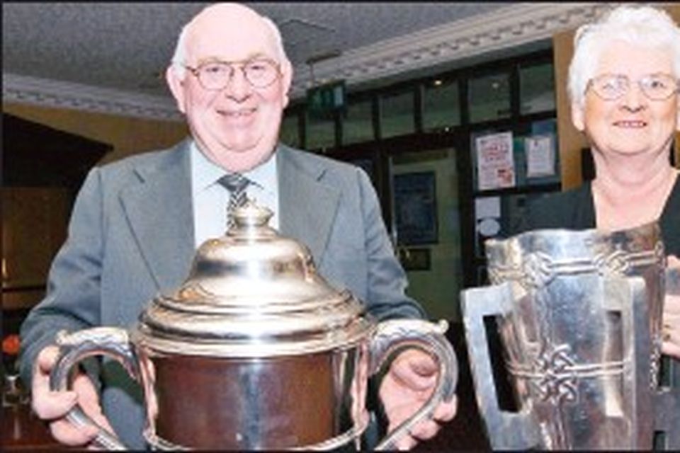 Large crowd honours 1960 hurling champs | Irish Independent