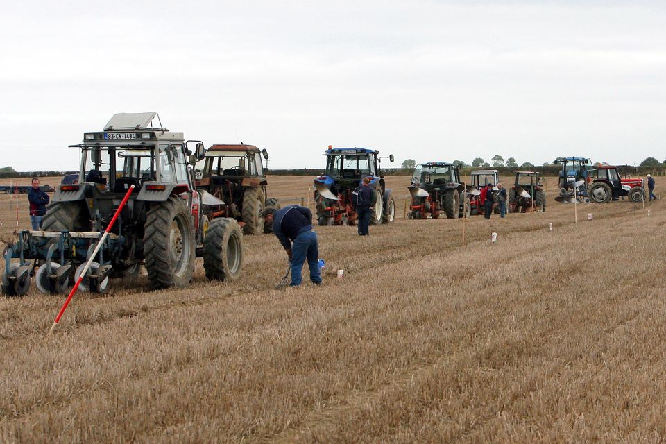 Two new farming apprenticeships ‘aim to help labour shortages in agri ...