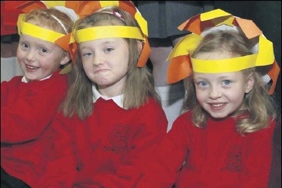 Big smiles to welcome Kathryn at Kildavin National School | Irish ...