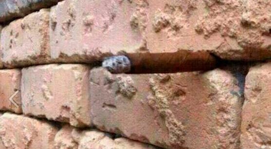 Can you solve the viral brick wall optical illusion driving everyone ...