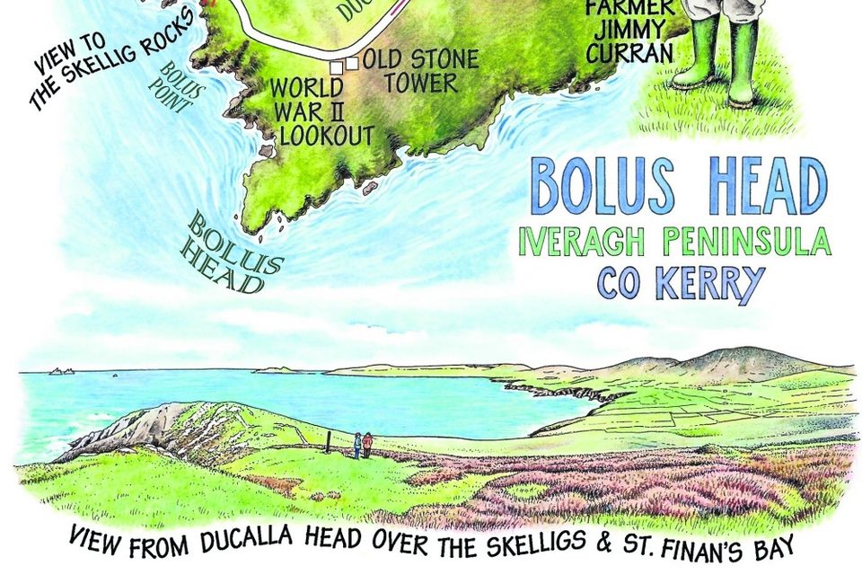 Walk of the Week: Bolus Head, Iveragh, Co Kerry | Irish Independent