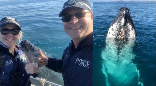 Two Australian police officers had a close encounter with a whale on ...