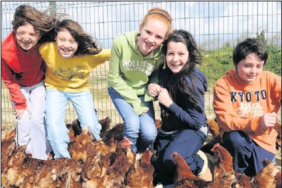 From a scout den to a proper home | Irish Independent