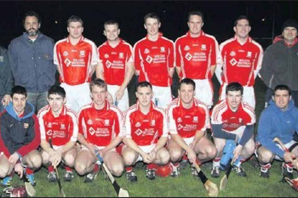 Alley first winners of Club Wexford hurling | Irish Independent