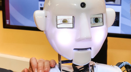 Robot 'speaker' steals show at Tech Summit | Irish Independent