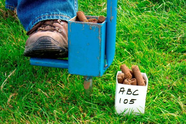 Teagasc: soil-fertility trends for 2021 | Irish Independent
