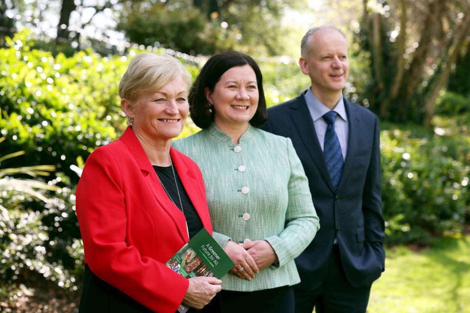 Coillte reveal plan for 100,000 hectares of new Irish forests | Irish ...