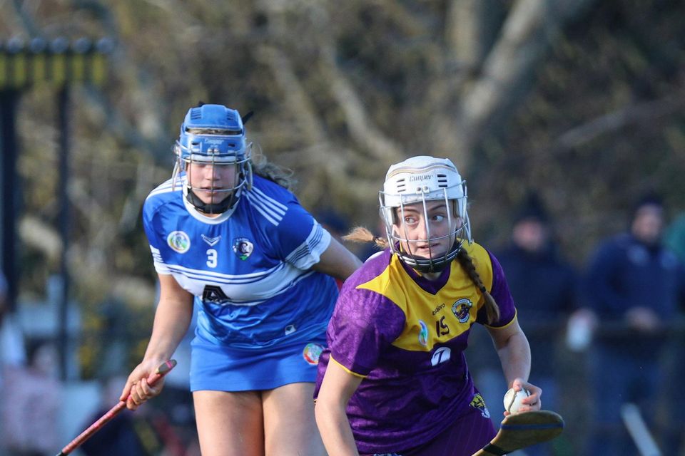 Wexford Minors bow out of Leinster | Irish Independent