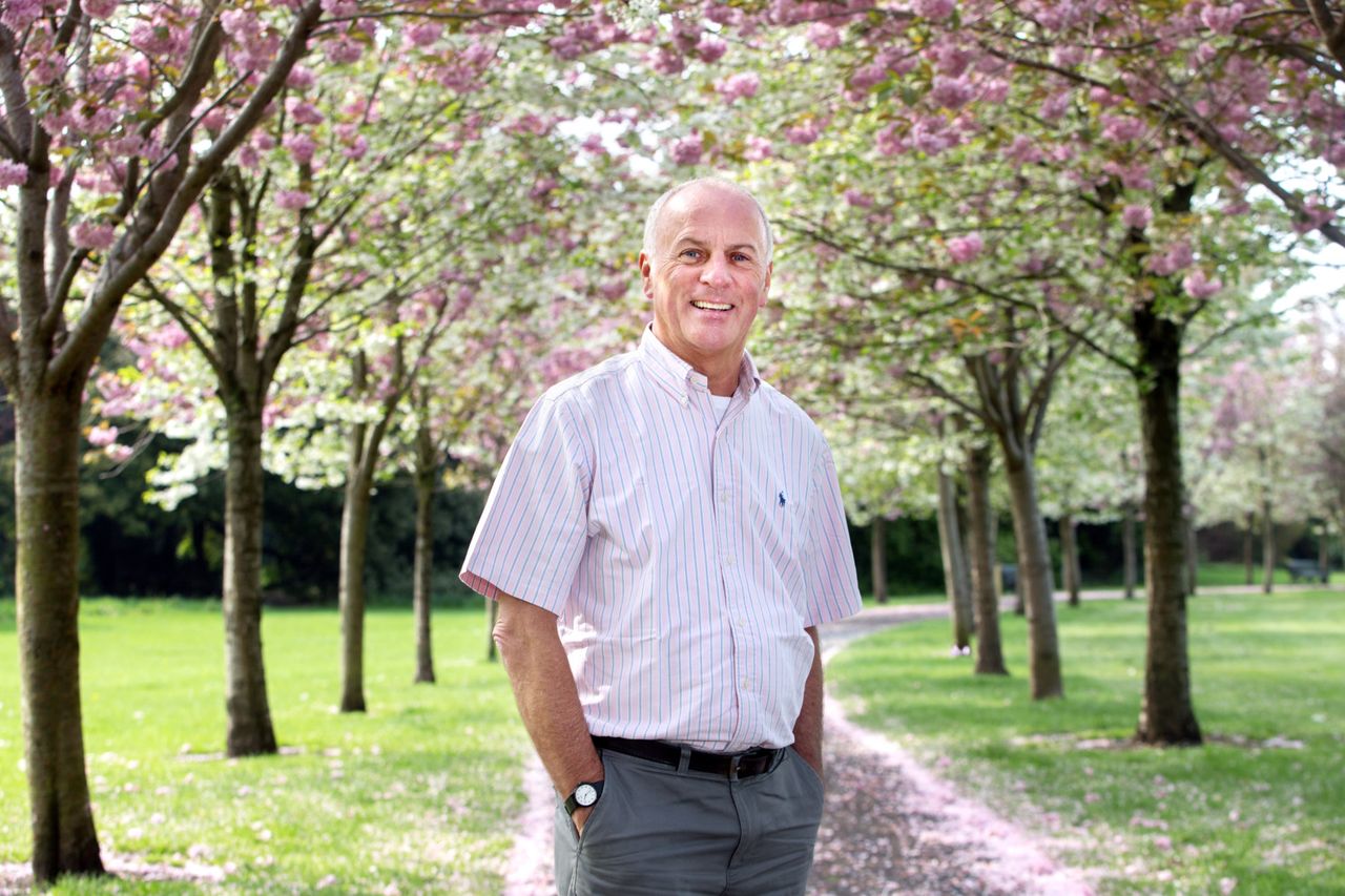 Irish dentist Frank Dillion on his unique approach to tackling hayfever ...