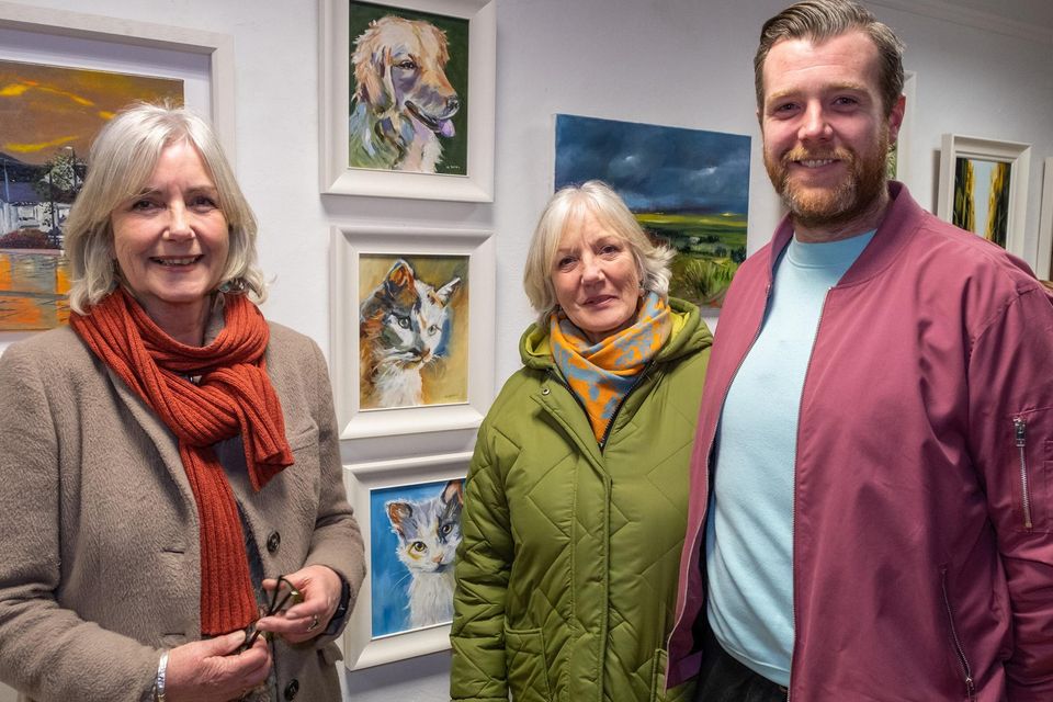 Pictures capture the Bray Artists Circle’s Exhibition at Signal Arts ...