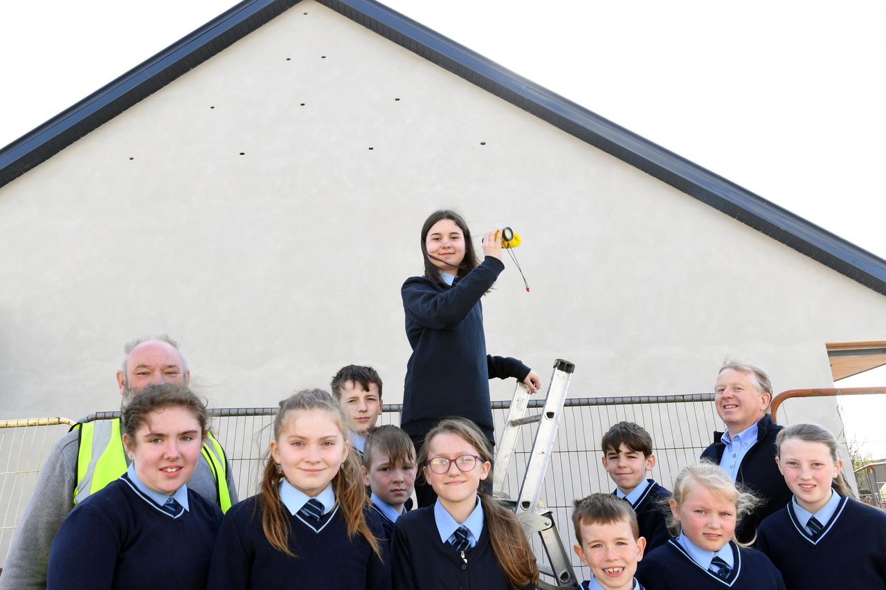 Swift action at Cork school provides home for migrating birds | Irish ...