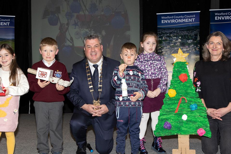 Wexford County Council rewards children’s Christmas creativity | Irish ...