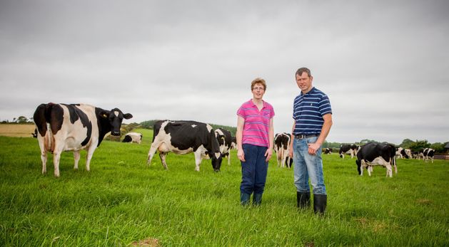 How to make a profit from farming | Irish Independent