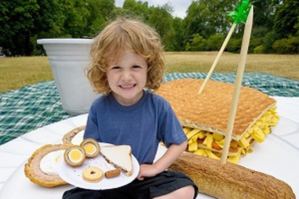 'Super-sized' picnic dwarfs boy | Irish Independent