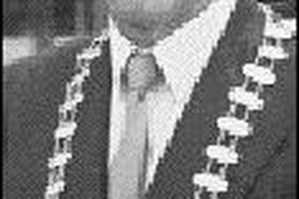 Councillors | Irish Independent