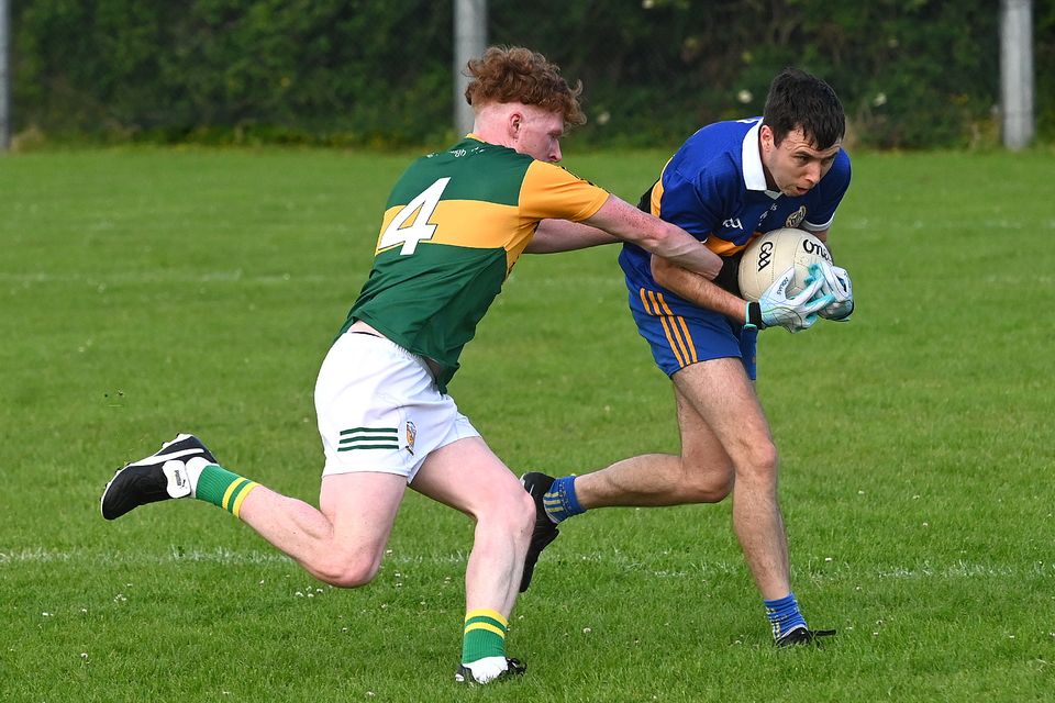 Louth GAA Division 1 reports | Irish Independent