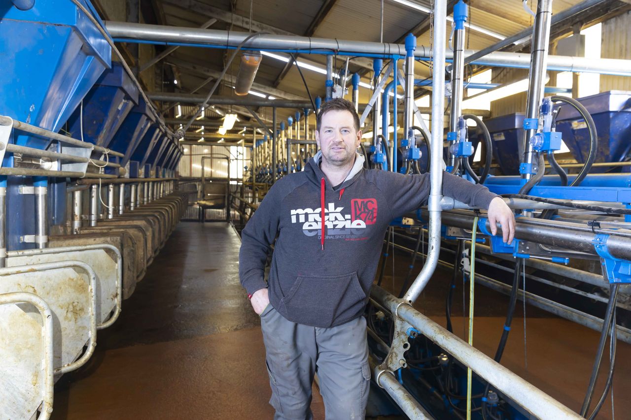 Why milk recording is a ‘no-brainer’ for this Wexford farmer – ‘it ...