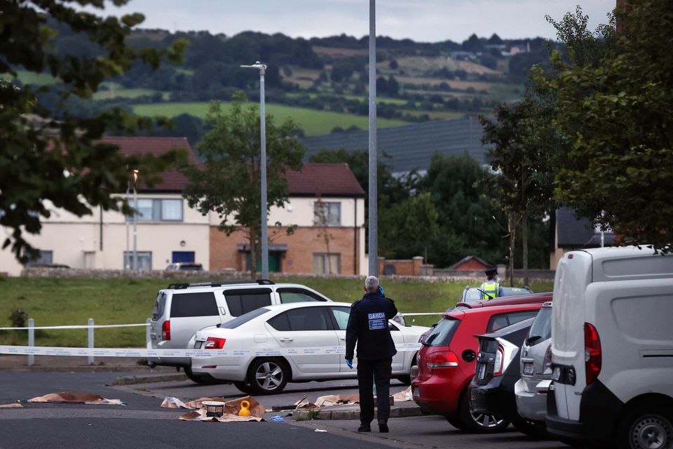 Young man (25) dies after being stabbed in the neck in Tallaght | Irish ...