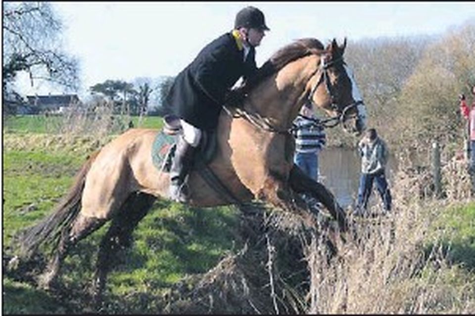 Moyvane | Independent.ie