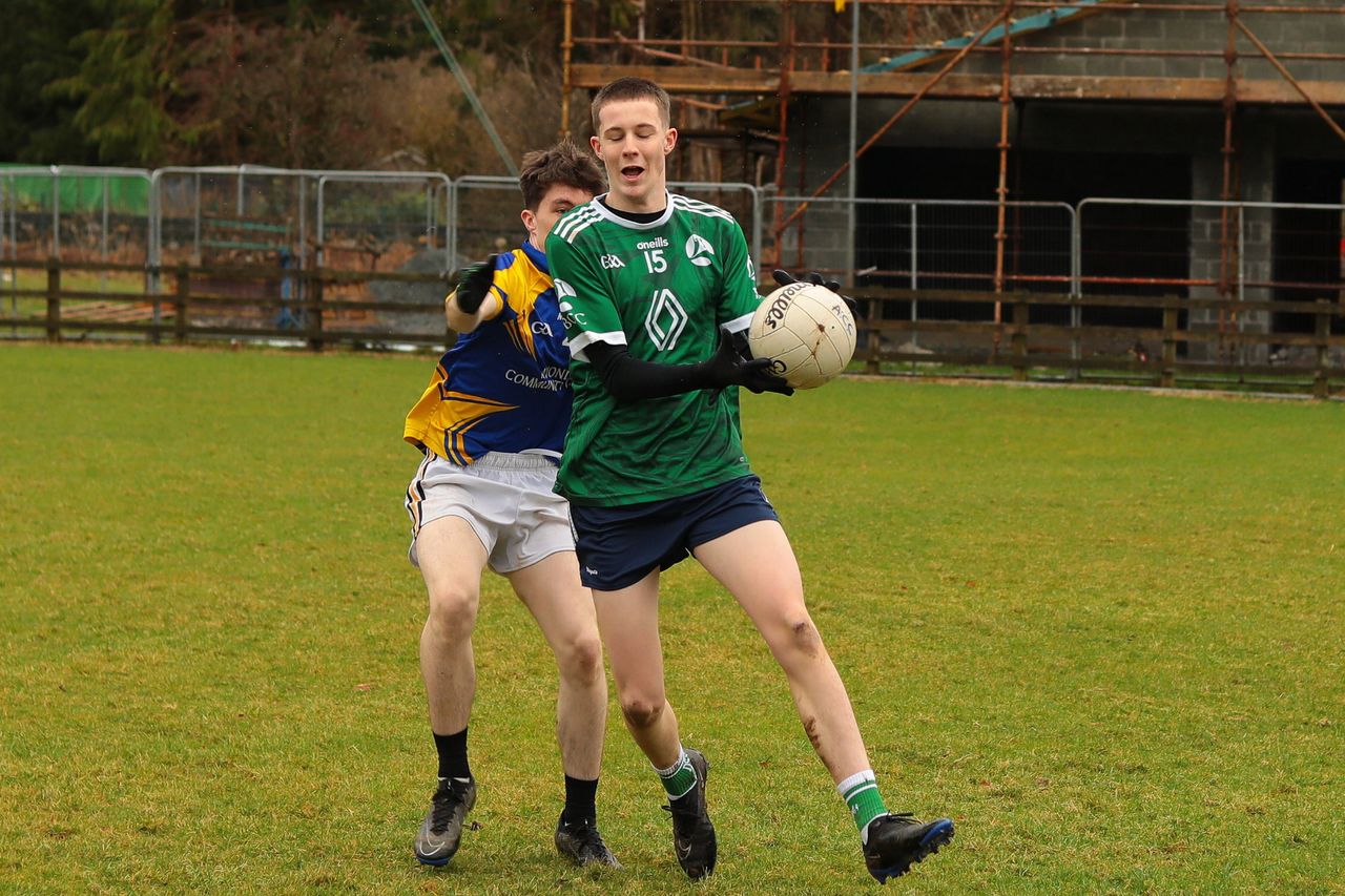 Small and Hardy shine as Blessington CC enjoy facile win over Avondale ...