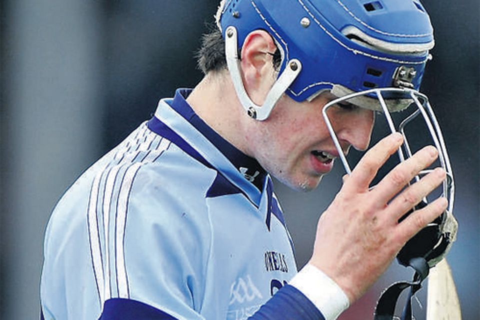 City lights giving Daly something to drive for | Independent.ie