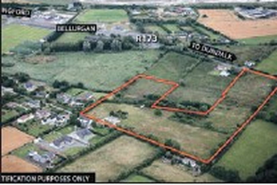 Bellurgan house and land at auction | Irish Independent