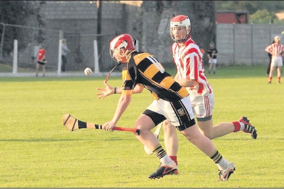 Ballyhea minors march into county final | Irish Independent