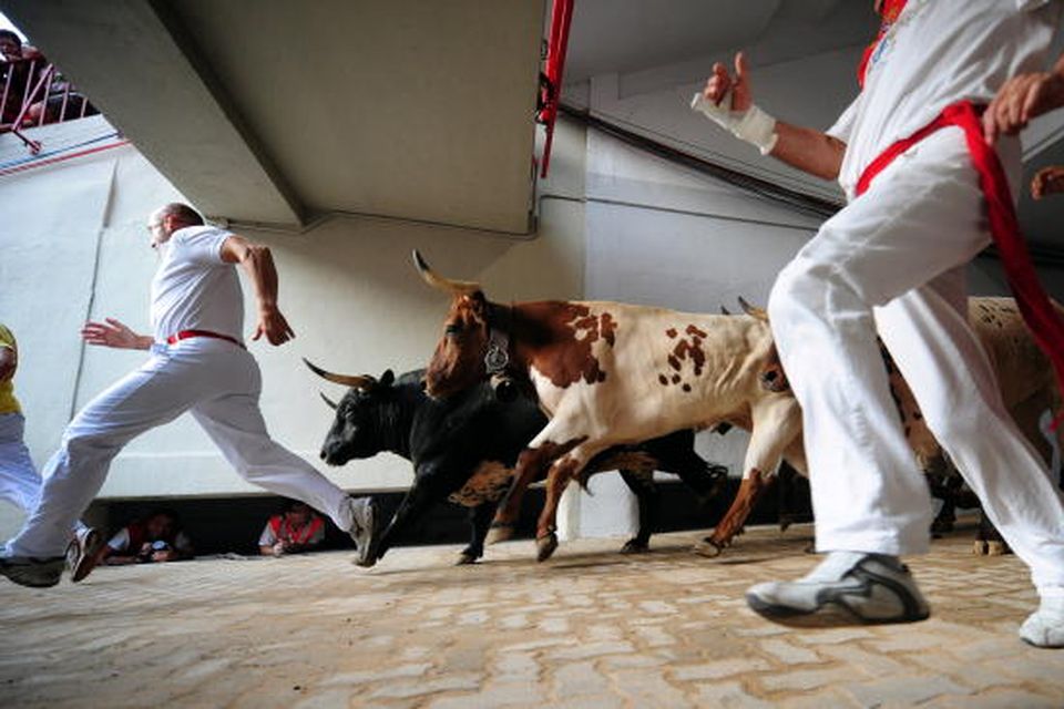 Pamplona festival gallery | Irish Independent