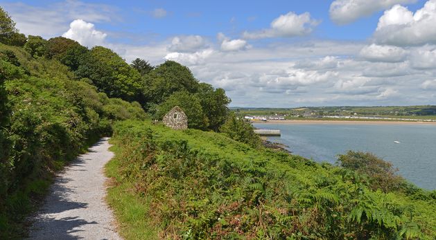 Is this Ireland's coolest coastal stroll? Try the Ardmore Cliff Walk in ...