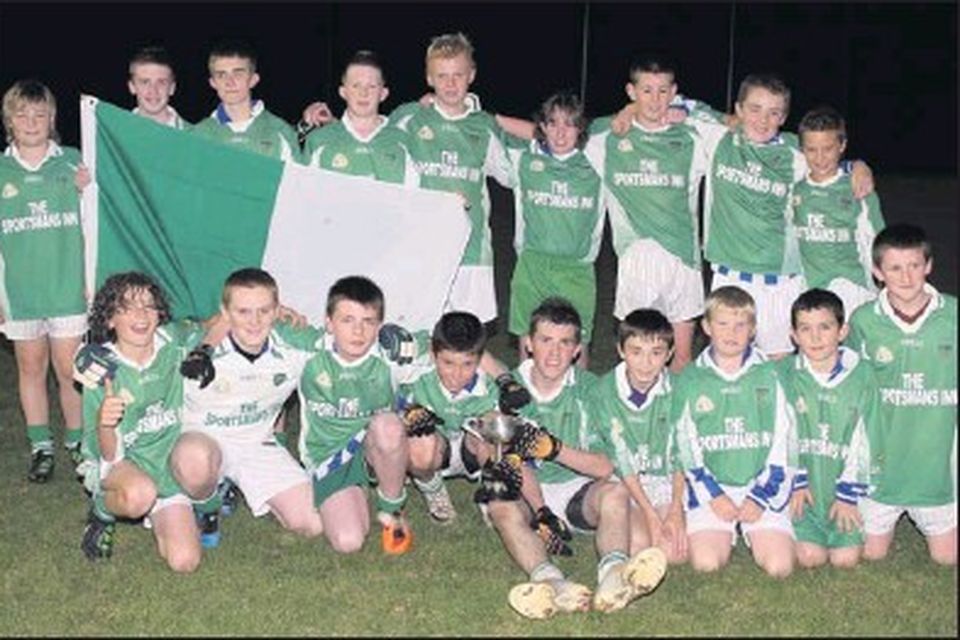Ballygarrett boys hold on | Independent.ie