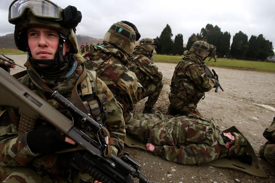 Reserve Defence Force ‘at lowest point in history’, committee hears ...