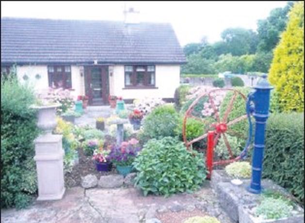 Best garden winner | Irish Independent