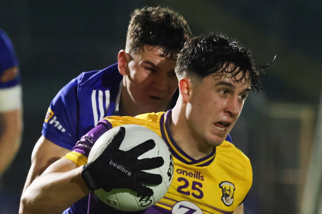 Laois too hot to handle for Wexford in one-sided Allianz Football ...
