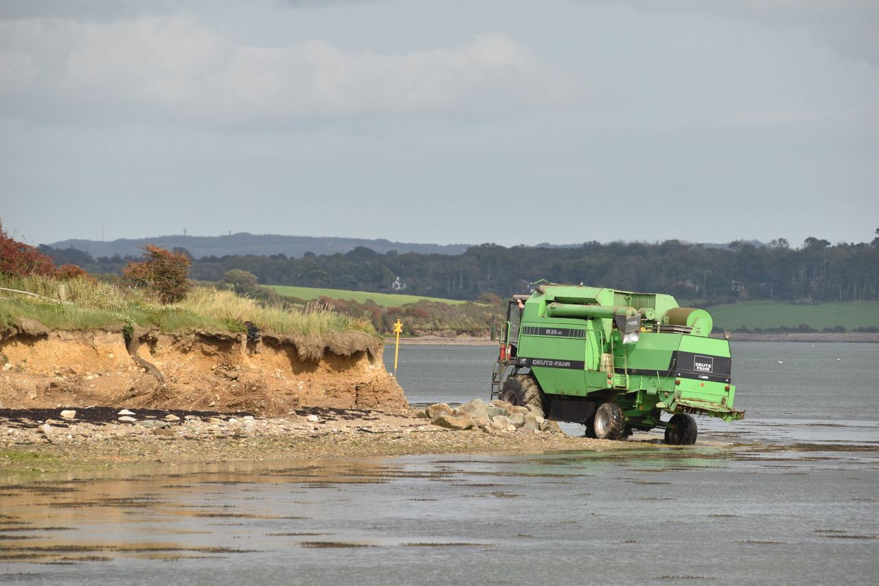 The Wexford farm only accessible by water – ‘the right of way is across ...