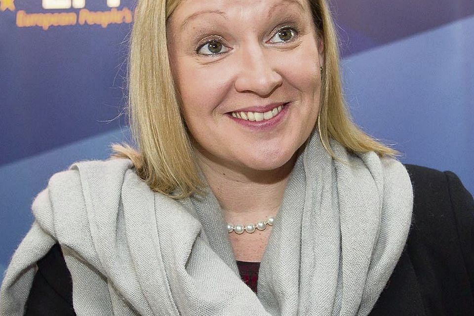 Lucinda has full backing of FG's EU allies | Irish Independent