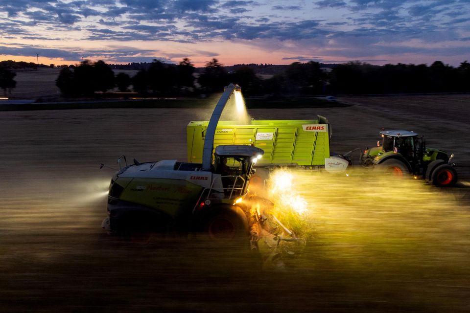 Smallest French Corn Crop Since 1990 Shows Drought's Huge Toll | Irish ...