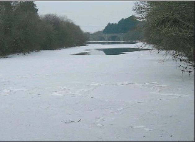 Frozen Feale is a fascinating sight | Irish Independent