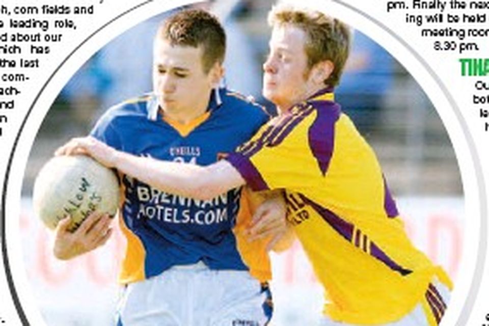 GRASSROOTS | Irish Independent