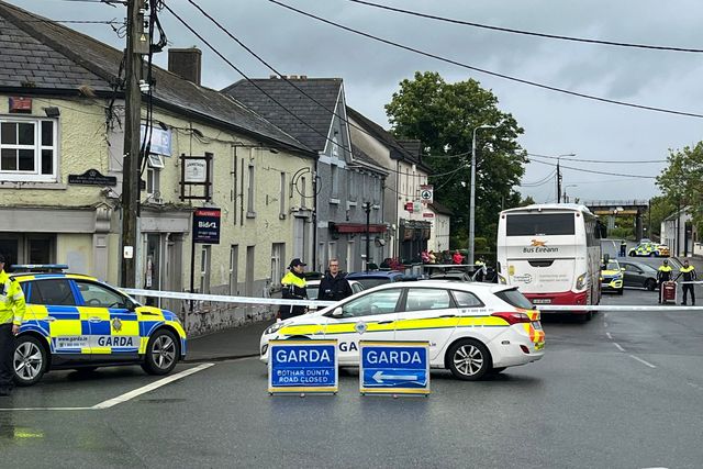 Louth road victim, Colette Campbell was in her 84th year | Irish ...