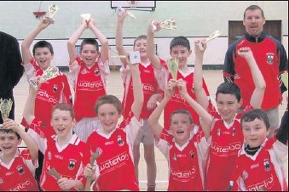 Glenealy win indoor hurling blitz | Irish Independent