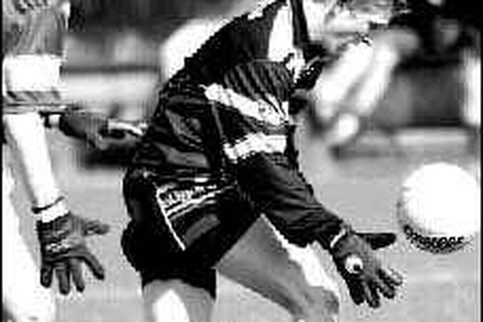 Theres more in the tank yet, says triumphant manager. | Independent.ie
