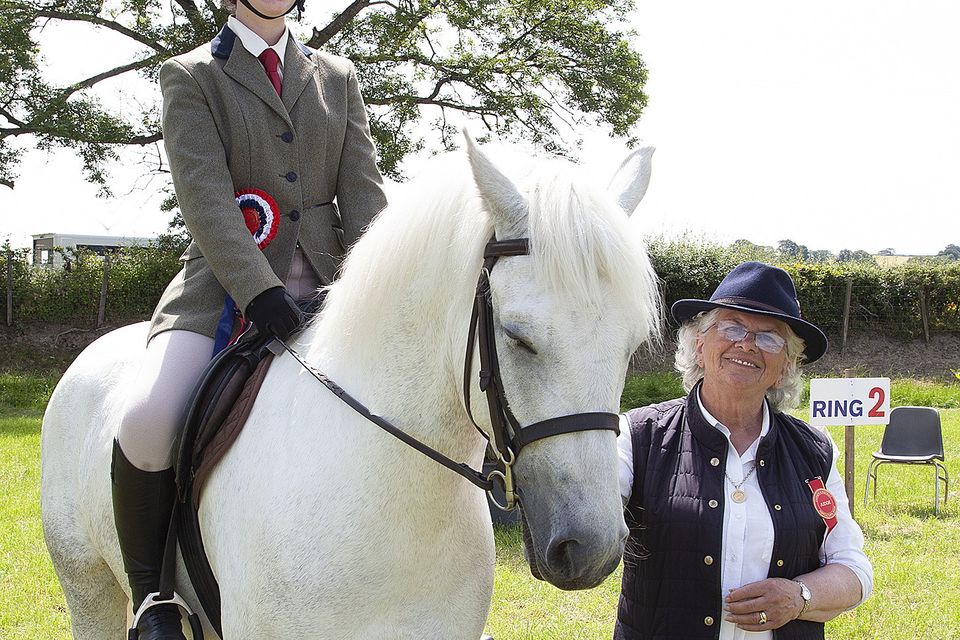 Return of Carnew show sees huge crowd gather for a day of entertainment ...