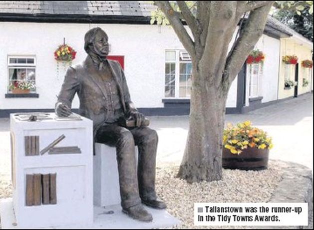 Tallanstown pipped for top prize in this year's Tidy Towns awards ...