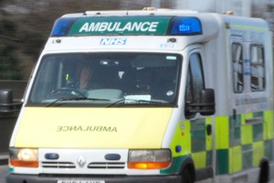 Pupils poisoned by school bus fumes | Irish Independent